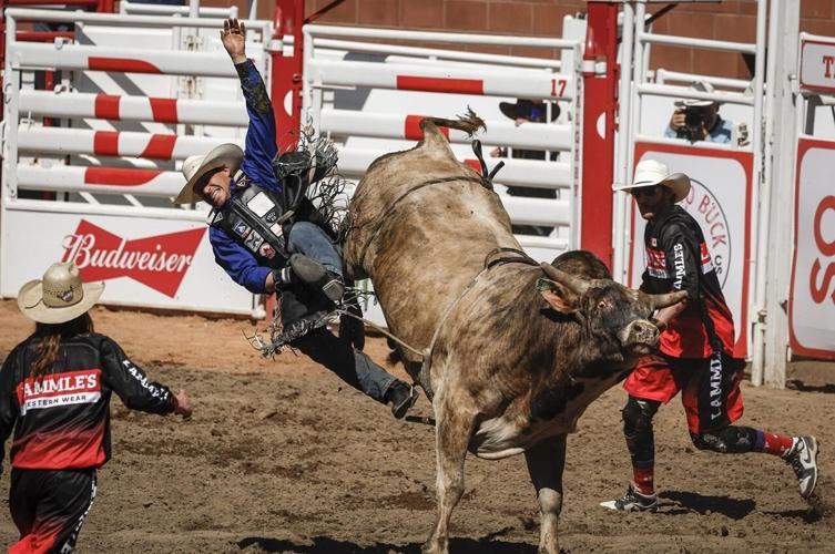 Photo Gallery: Calgary Stampede rodeo competition