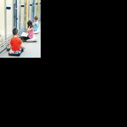 Hamilton/Burlington SPCA unveils shelter renovation plans