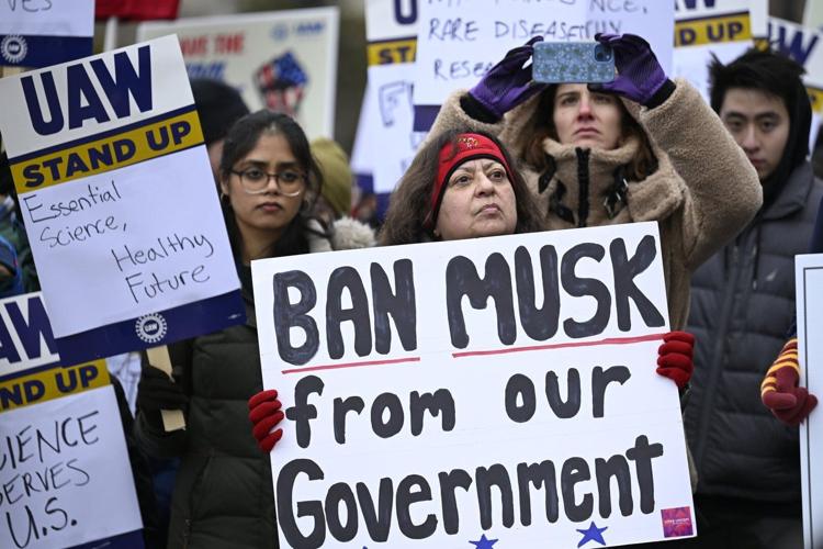PHOTO COLLECTION: Elon Musk Protests
