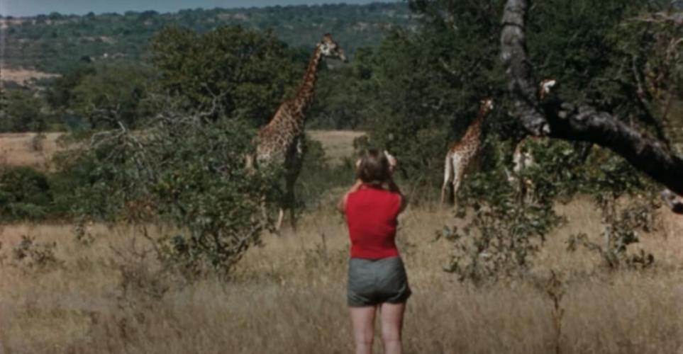 In and out of Africa — the giraffe woman holds head high