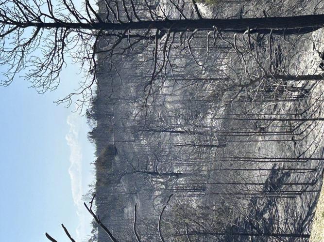 Wildfire burns thousands of acres in a rural, rugged area of Nebraska