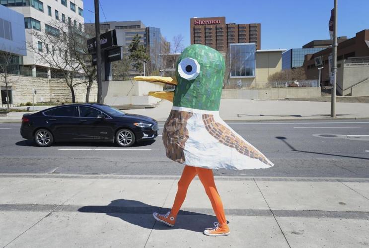 A classic quack in downtown Hamilton