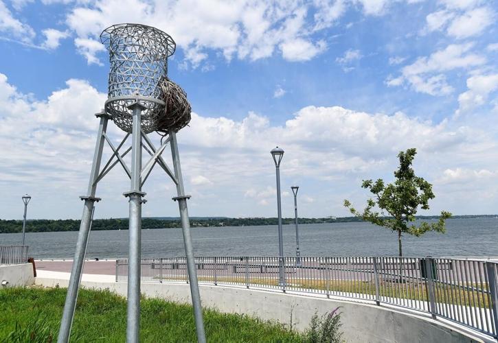 Mayor backs Hamilton museum at waterfront Discovery Centre