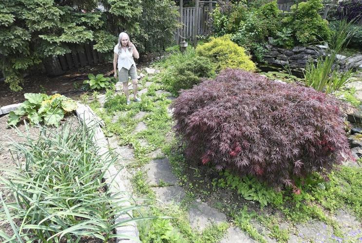 Irene’s garden of ruins