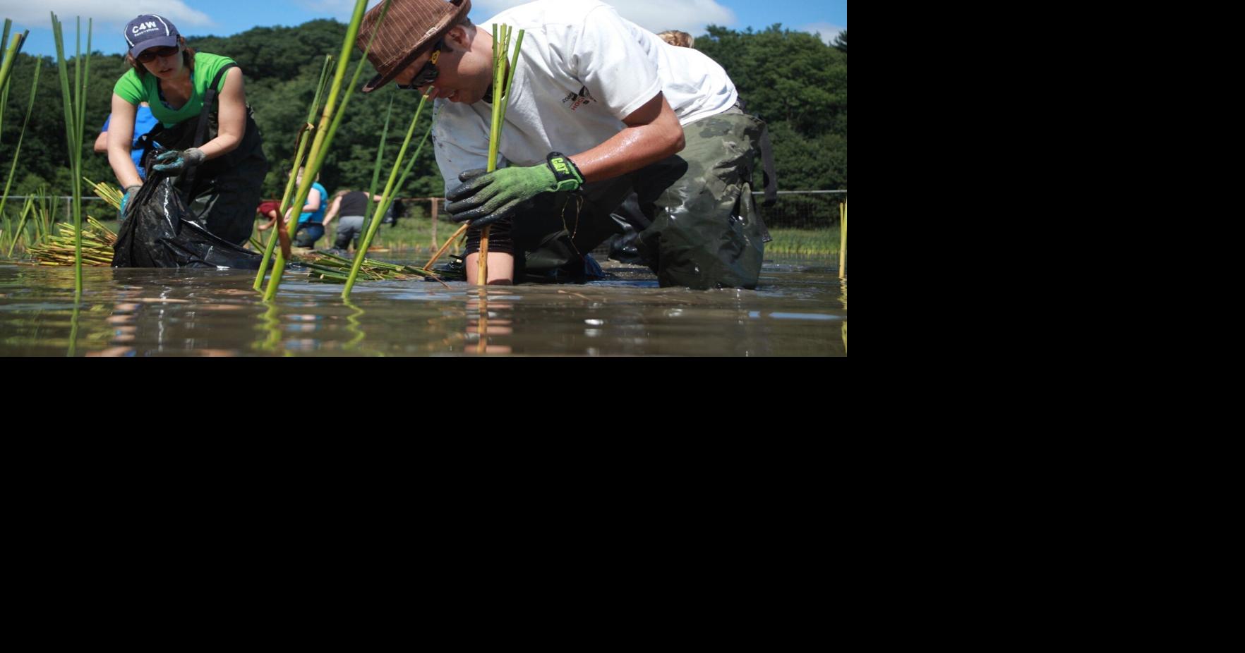Remarkable stories of water restoration have been overlooked