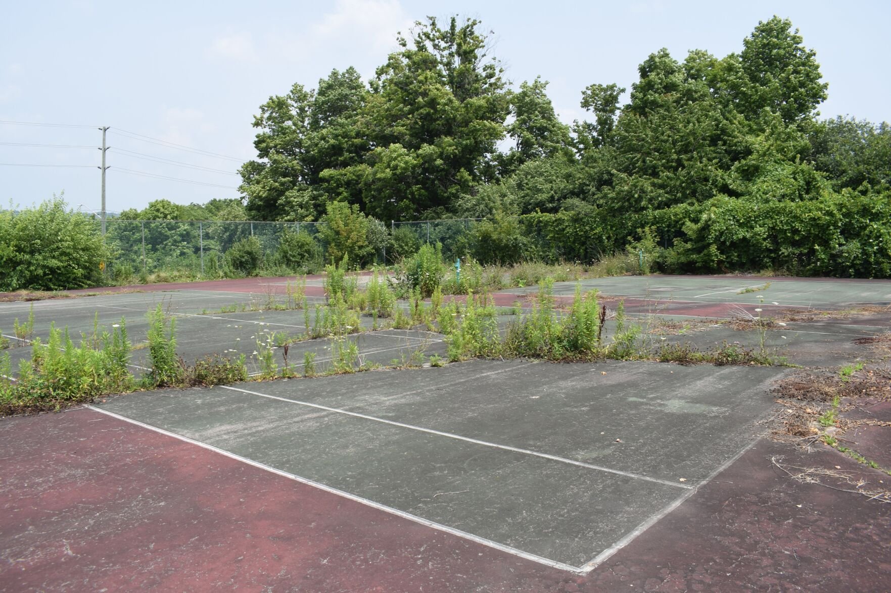 New life may be coming to fenced-off Dundas Valley courts