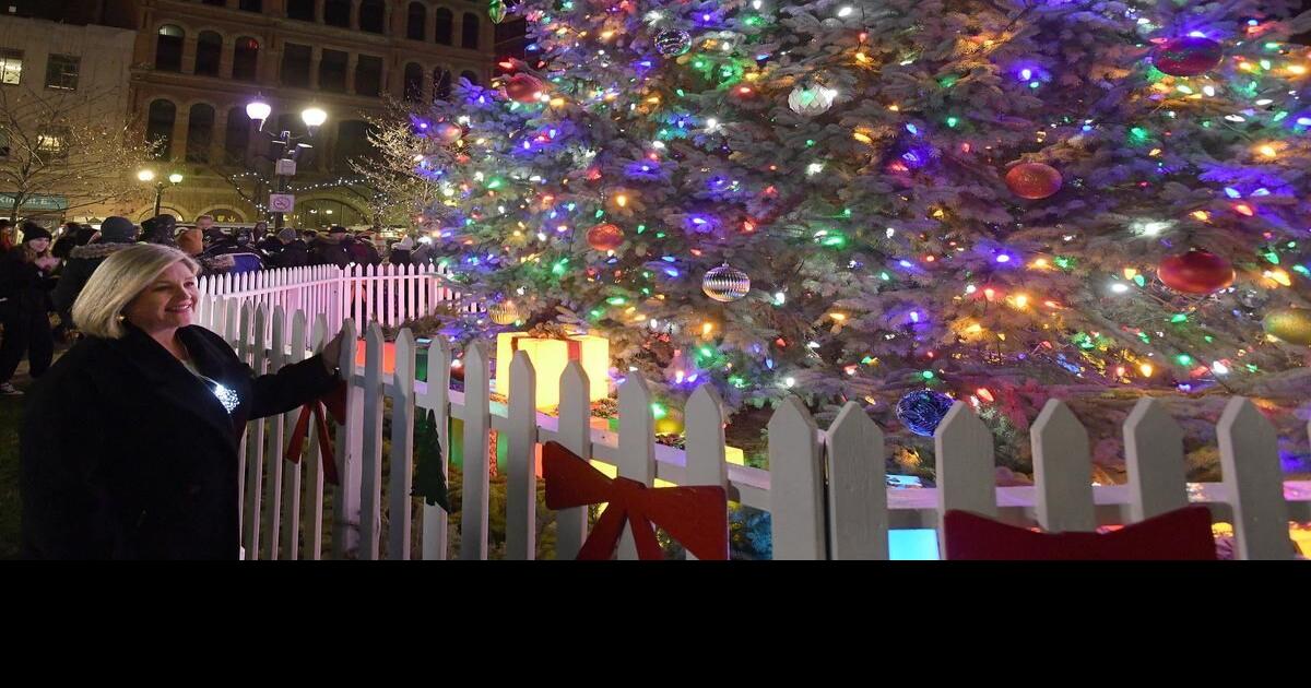 Downtown Hamilton Christmas tree gets lit with holiday spirit