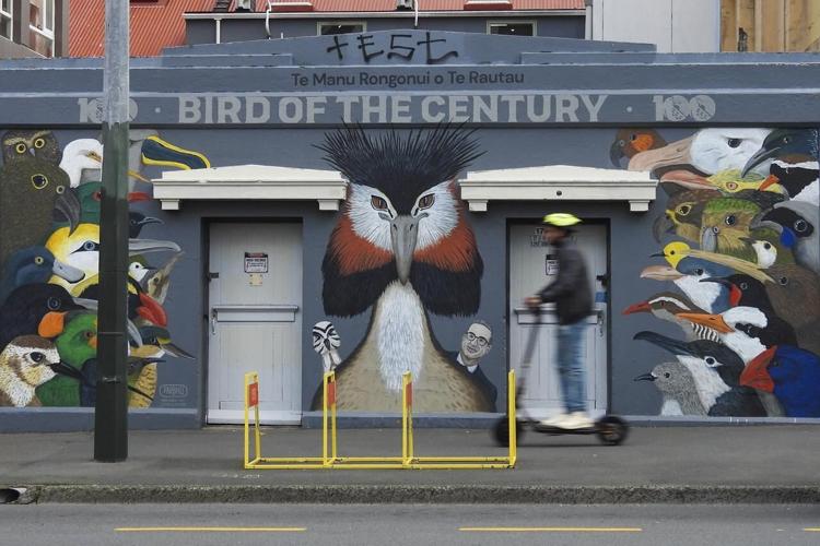 A smelly penguin wins New Zealand's hard-fought bird election
