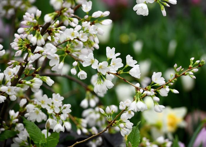 Hamilton March break ideas for kids