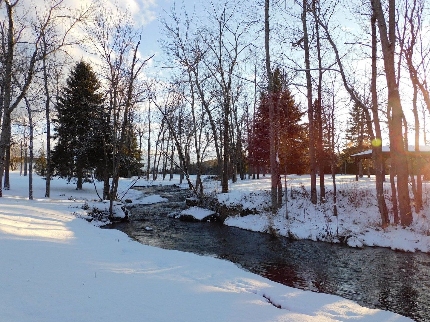 Outwit, Outplay, Out-Prank: Bonfield’s ‘Survivor’ news was only an ...