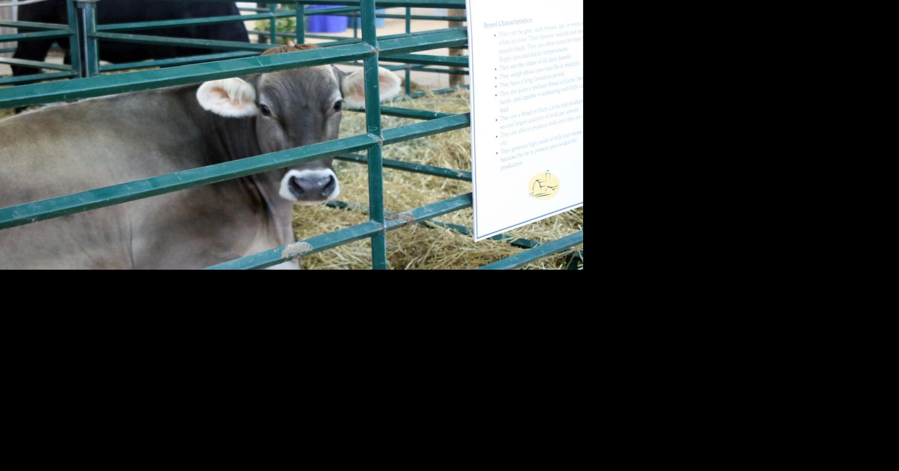 2021 Ancaster Fair now closed to general public, vaccine mandate enacted