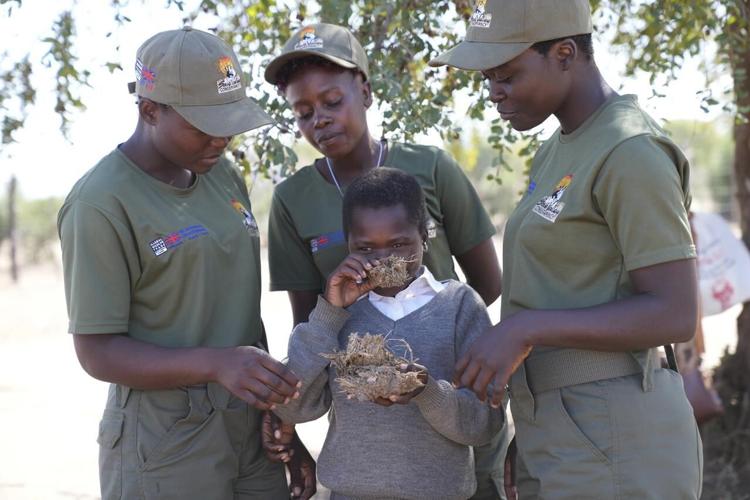In Zimbabwe, schoolchildren face threats from animals. Now they are ...