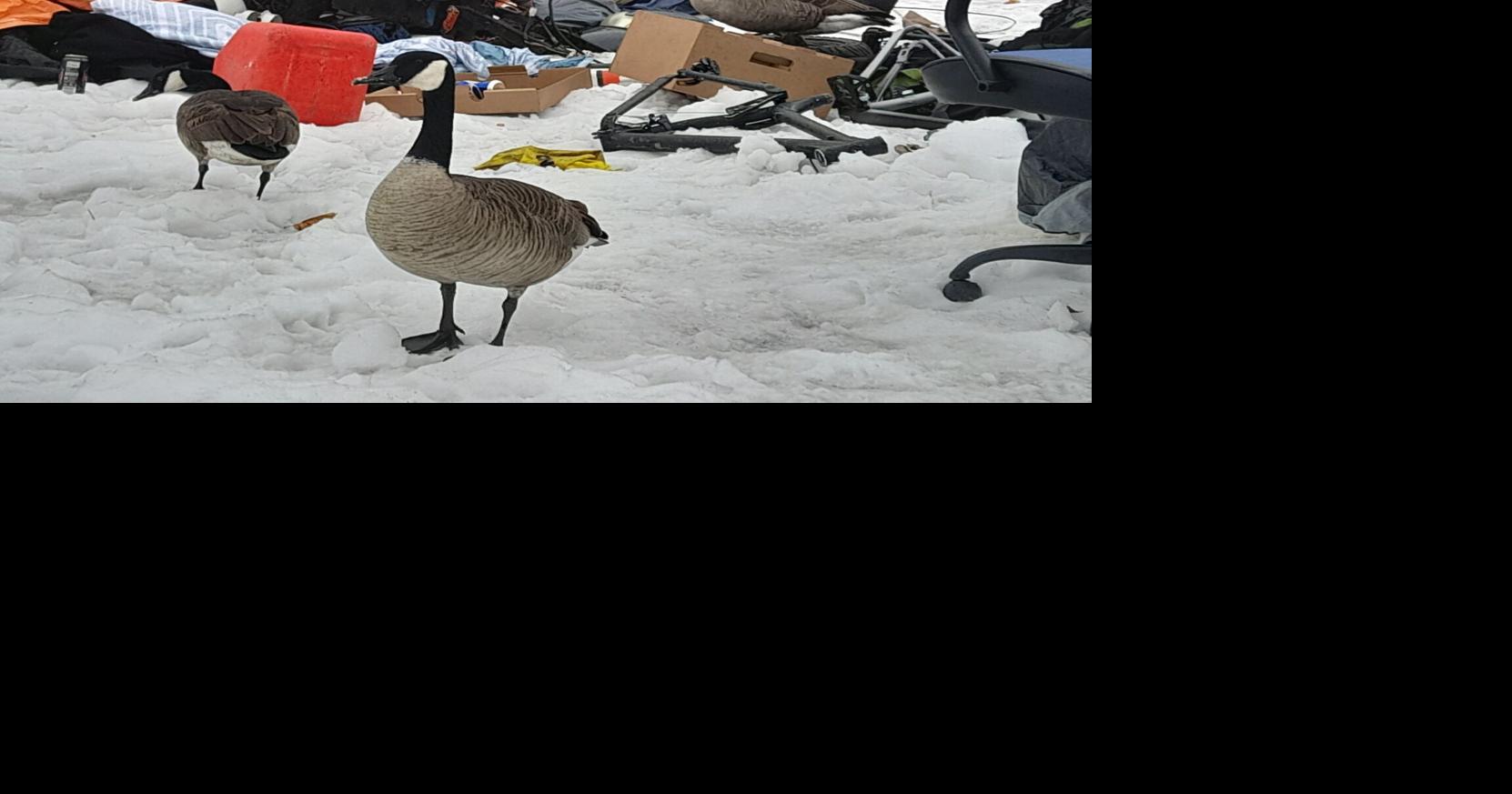 Hamilton encampment cleanup a work in progress