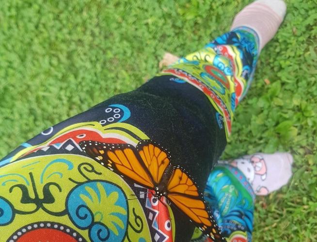 Waterford woman raised 80 monarch butterflies in her kitchen