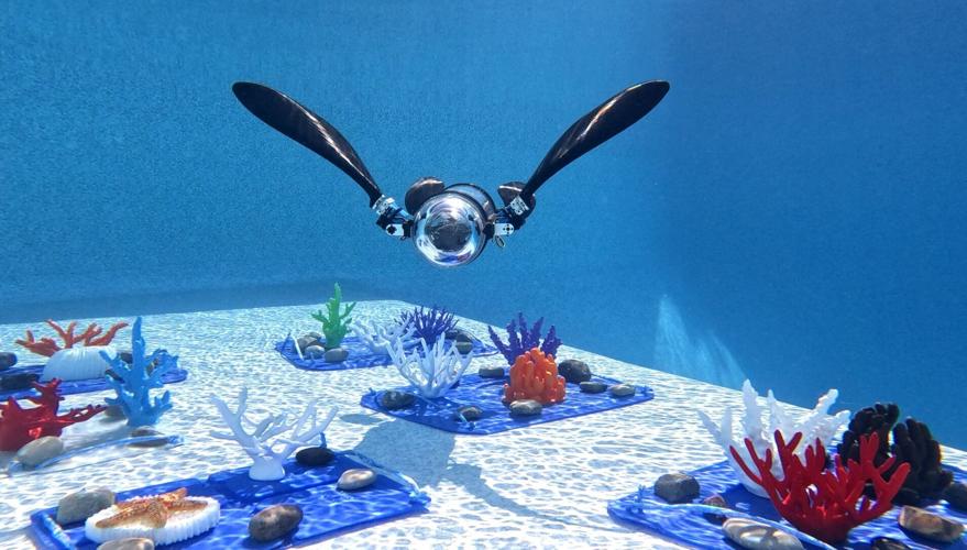 Robotic turtle earns Burlington teen $50K prize