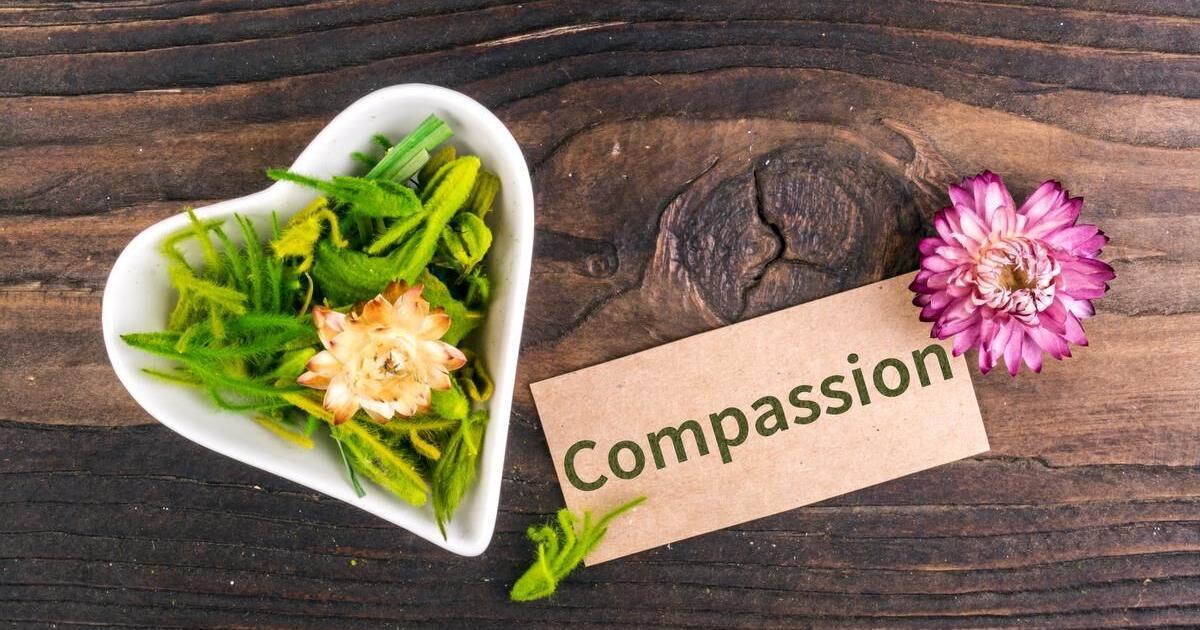 Understanding tender and fierce compassion