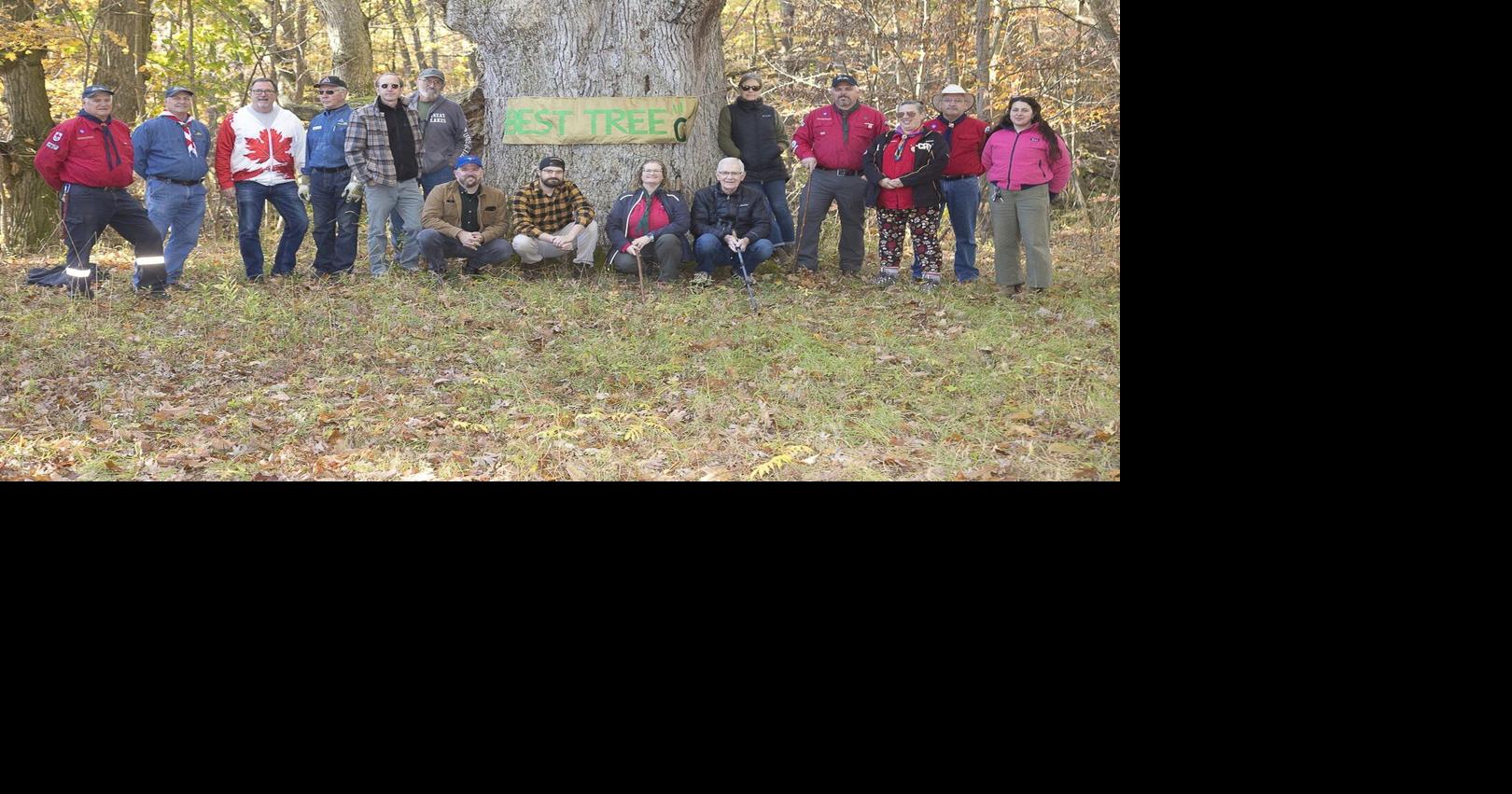 Giant 200-Year-Old White Oak Wins ‘Best Tree in C-K’ Contest