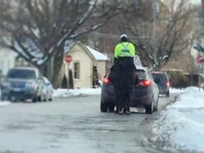 Hamilton police mounted unit on patrol in Waterdown