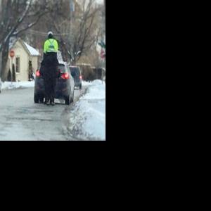 Hamilton police mounted unit on patrol in Waterdown
