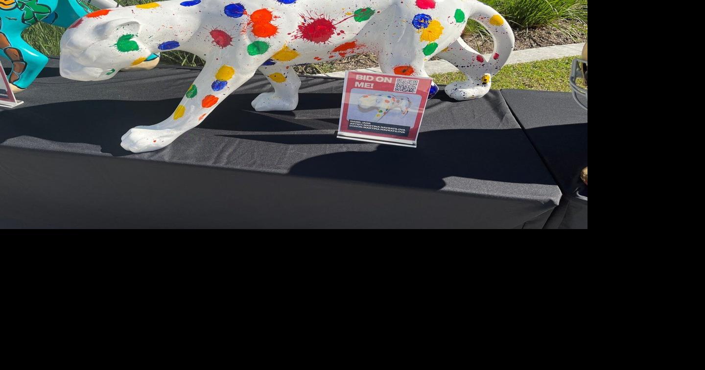 Florida Panthers enlist stars for unique cancer fundraiser, showing it ...