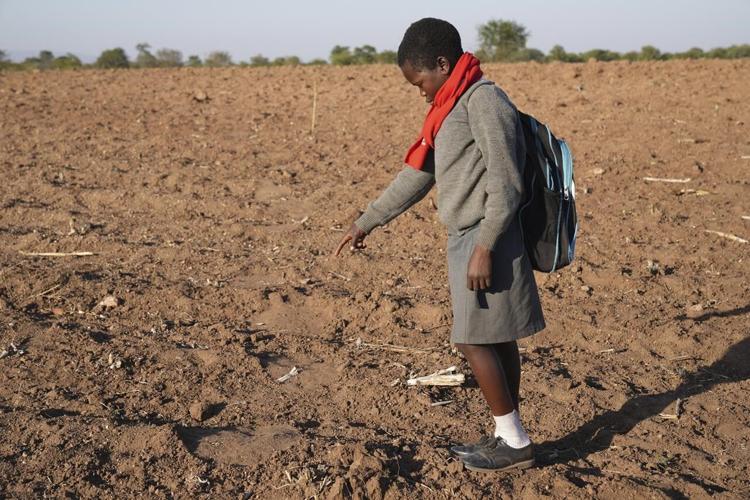 In Zimbabwe, schoolchildren face threats from animals. Now they are ...
