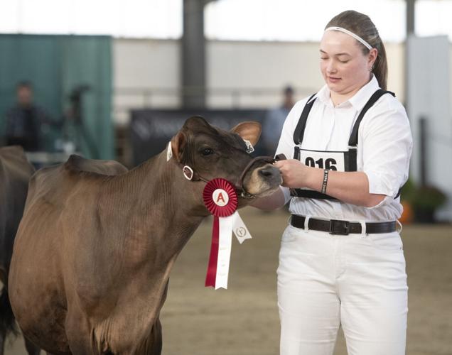 Fall fairs offer nostalgia, animals and deep-rooted gifts