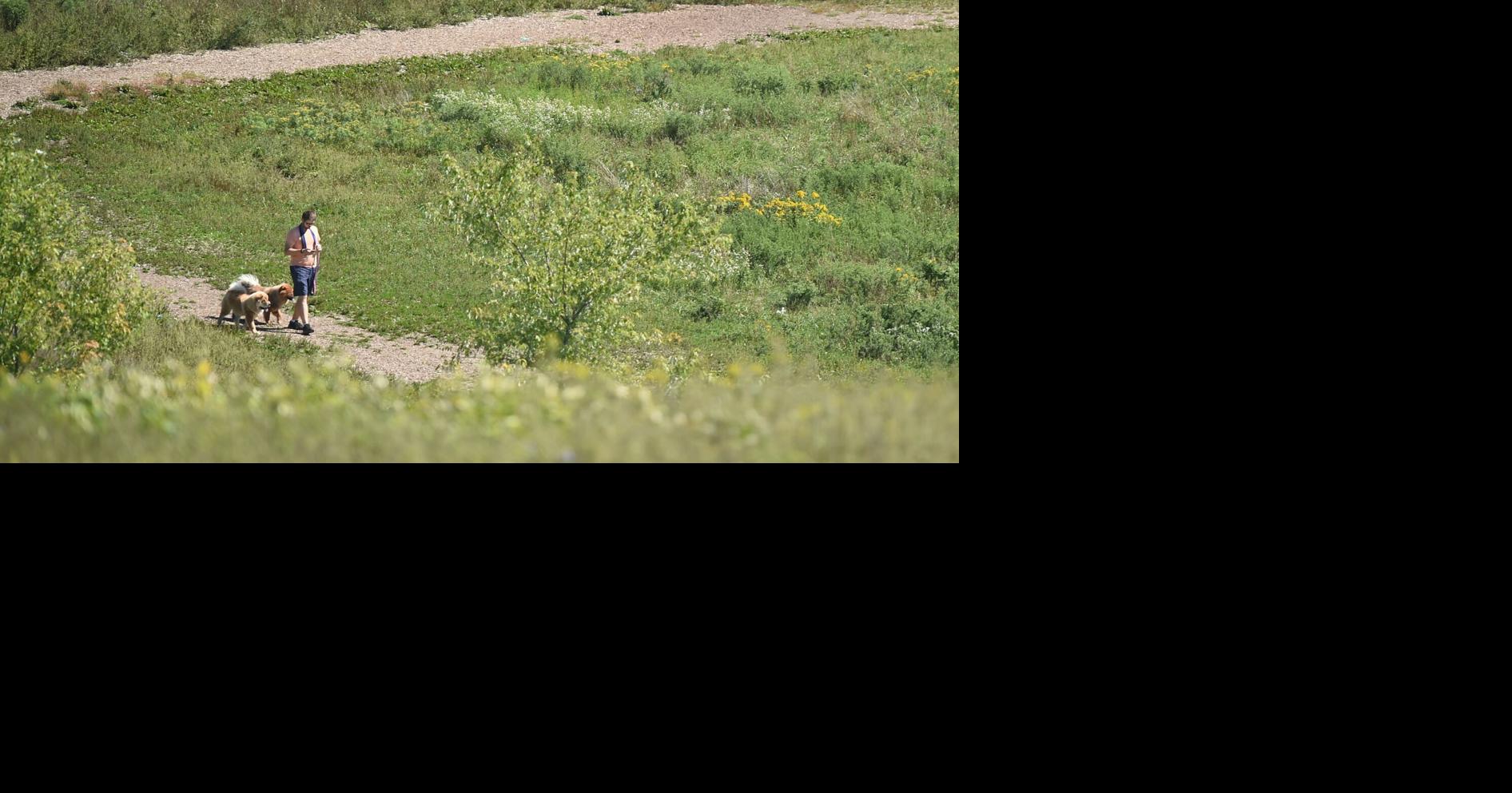 From city parks to rural paths, dog poop is piling up.