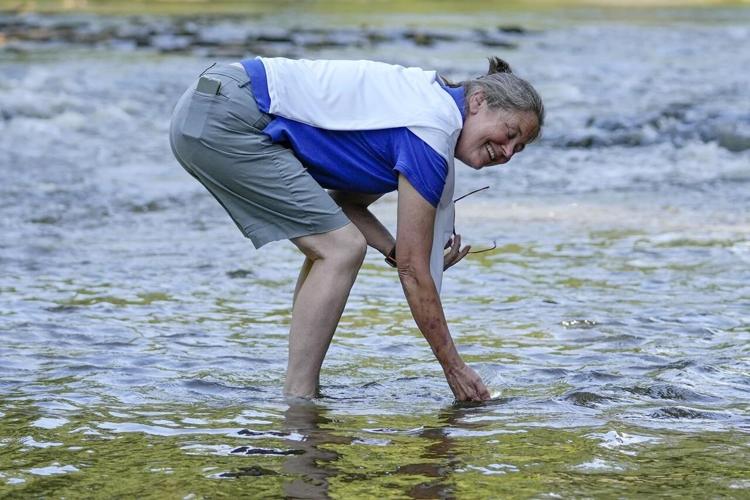 In Mississippi, a tiny fish is reintroduced to the river where it ...