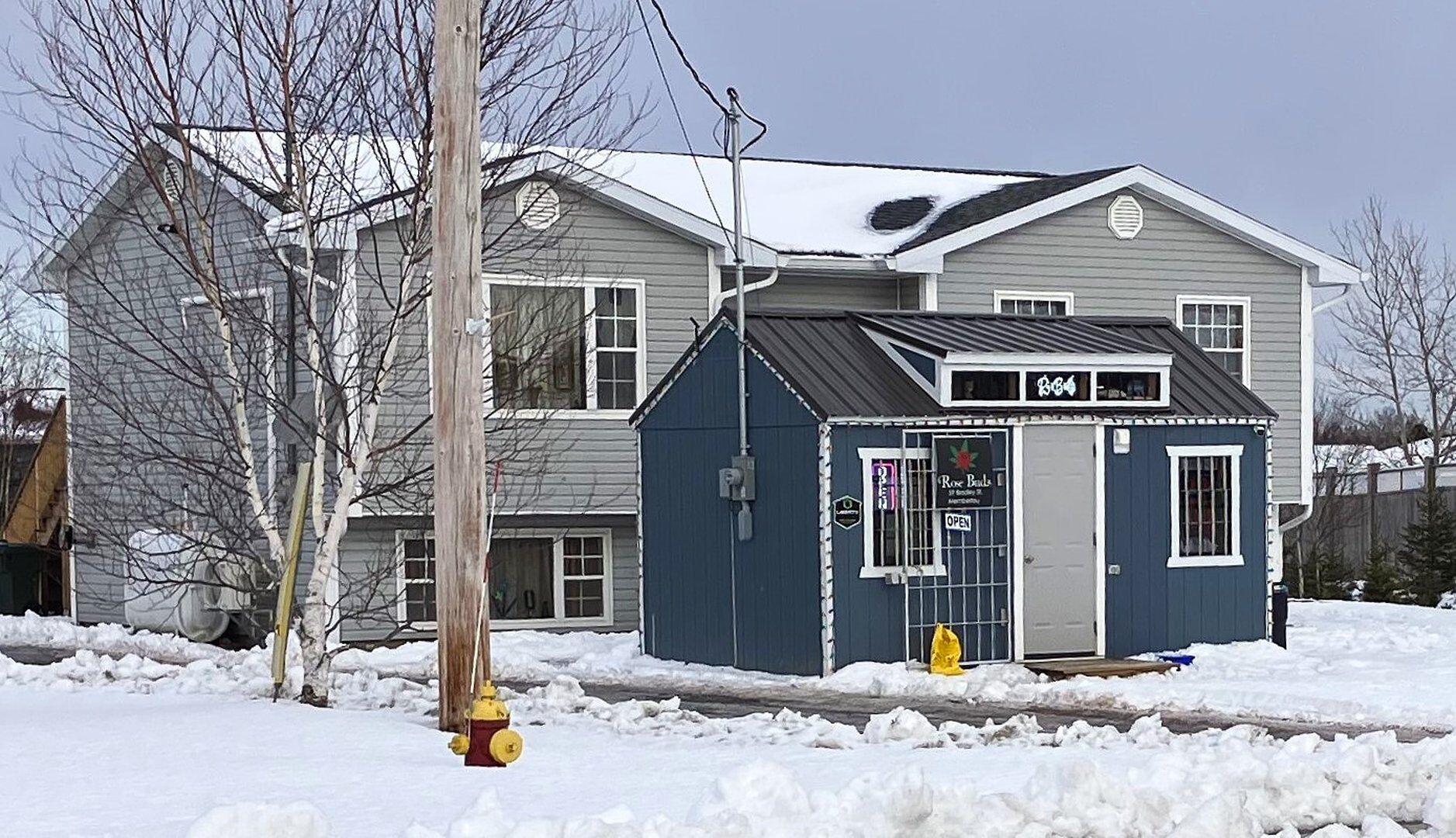 Membertou cannabis law working group disbanded due to tensions