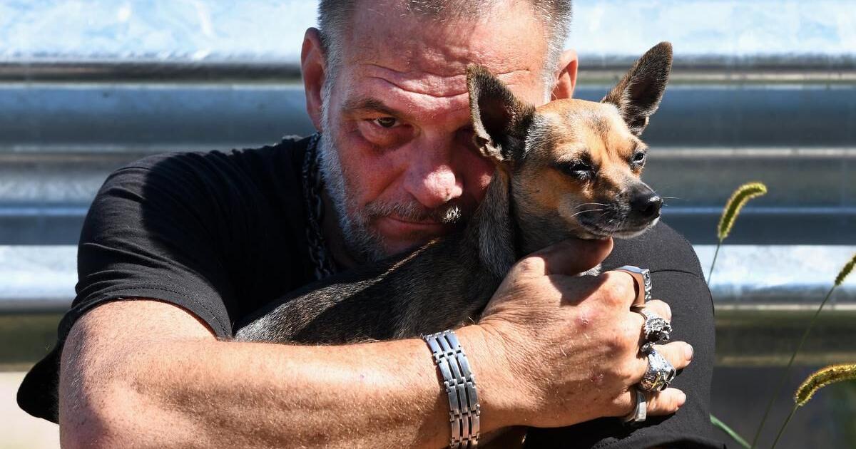 ‘First and last’ winter outdoors: Hamilton homeless man involved in ...