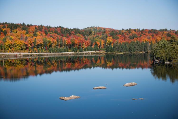 Book ahead to secure spot: Your guide to visiting Algonquin