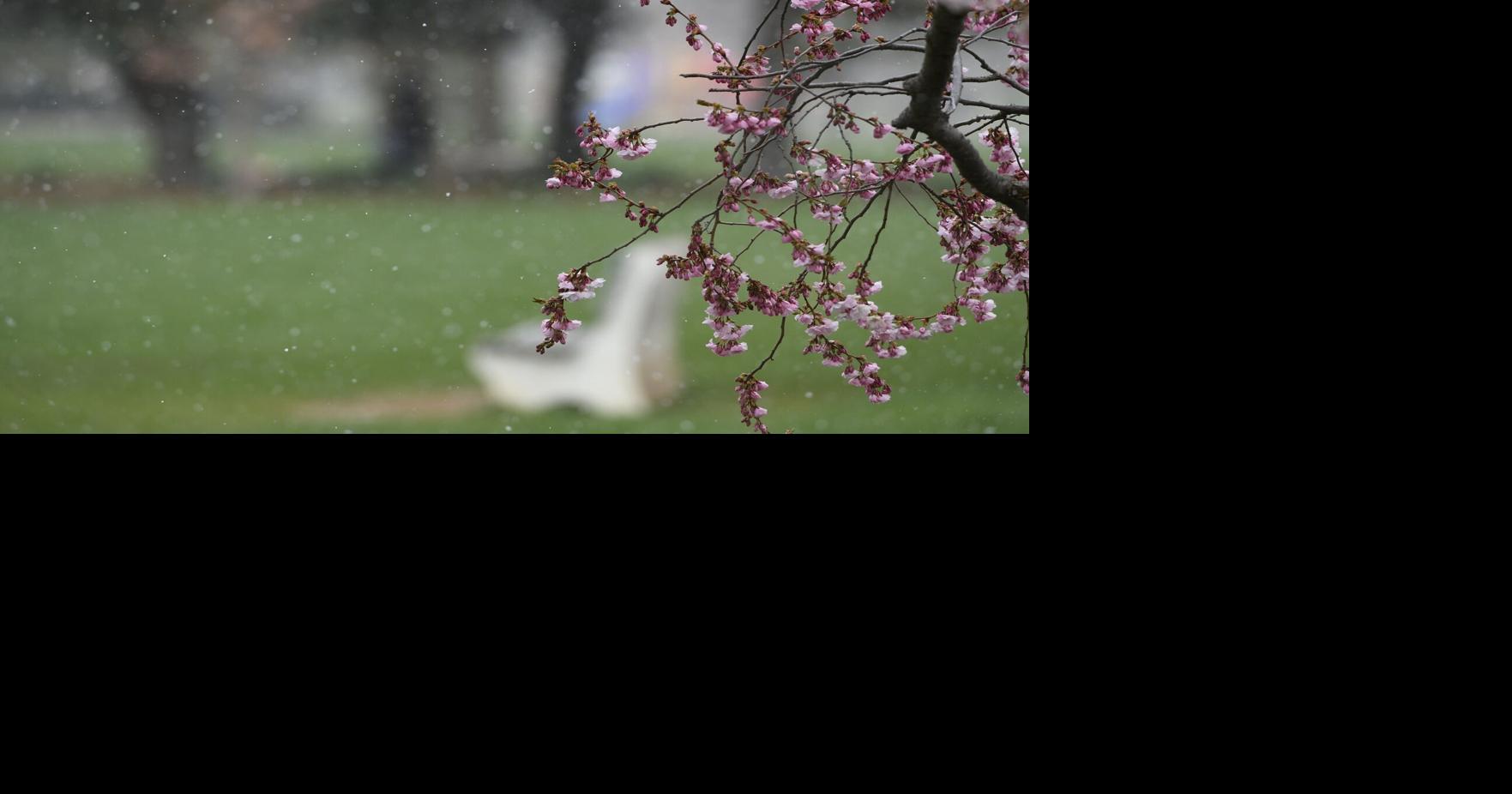 More rain, flurries for Hamilton — but warmer weather coming