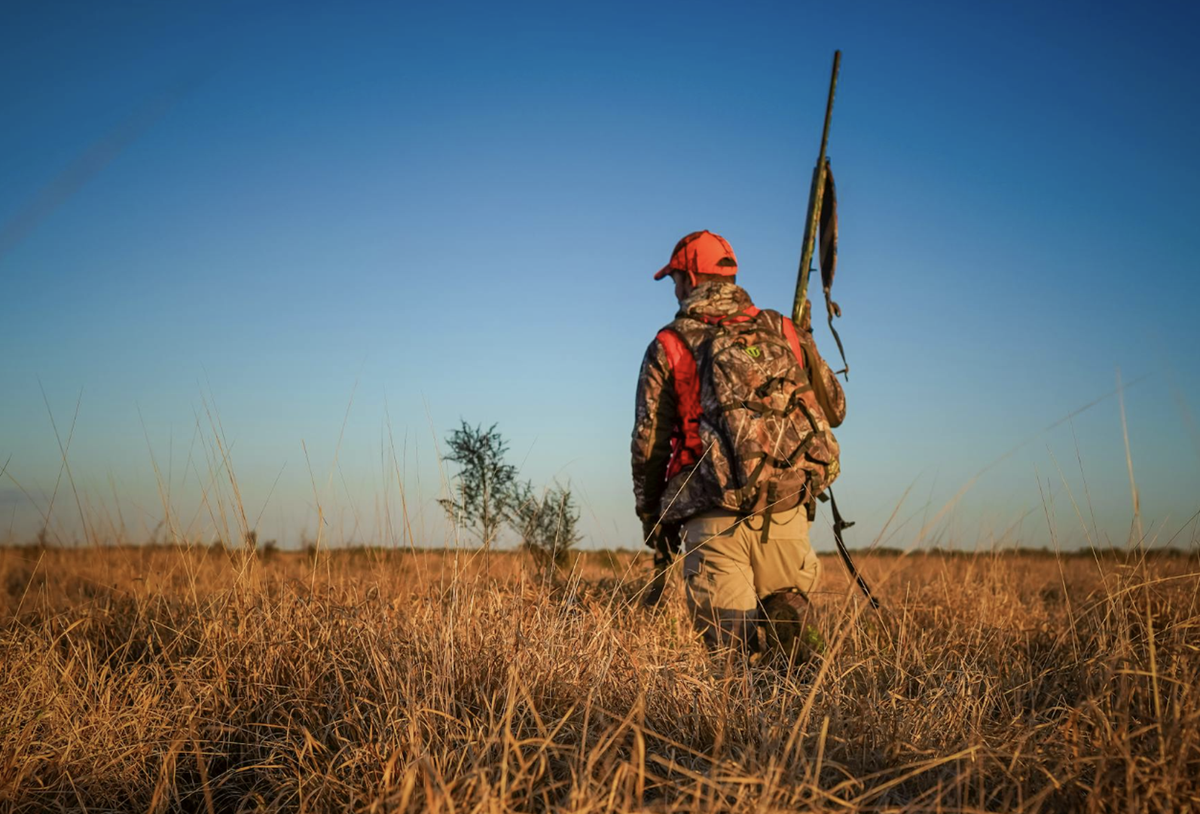 Study finds licensed hunting linked to stable wildlife populations