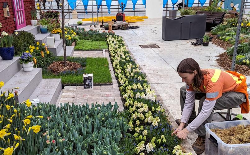 The (Spring) Tide has come in