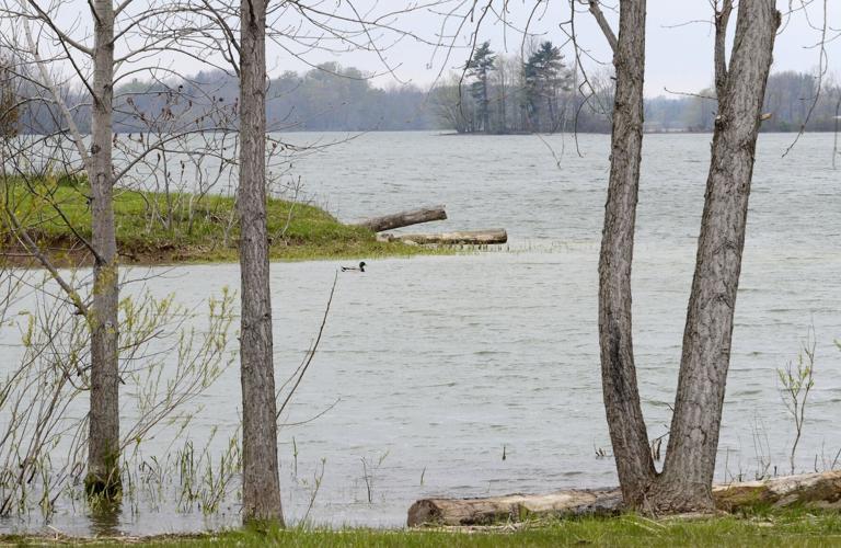 Five Hamilton picnic spots