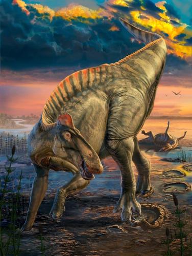 Rare Dinosaur Mummies Help Scientists Recreate Their Prehistoric Lives