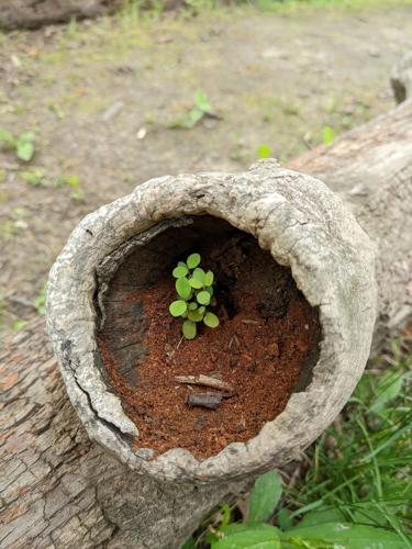 Haldimand woman found help through Al-Anon