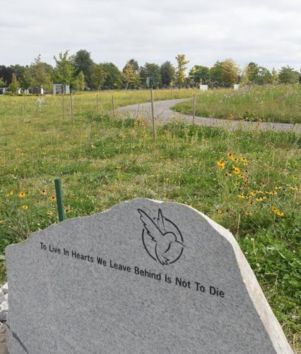 Environmentally friendly burial site a first for Hamilton