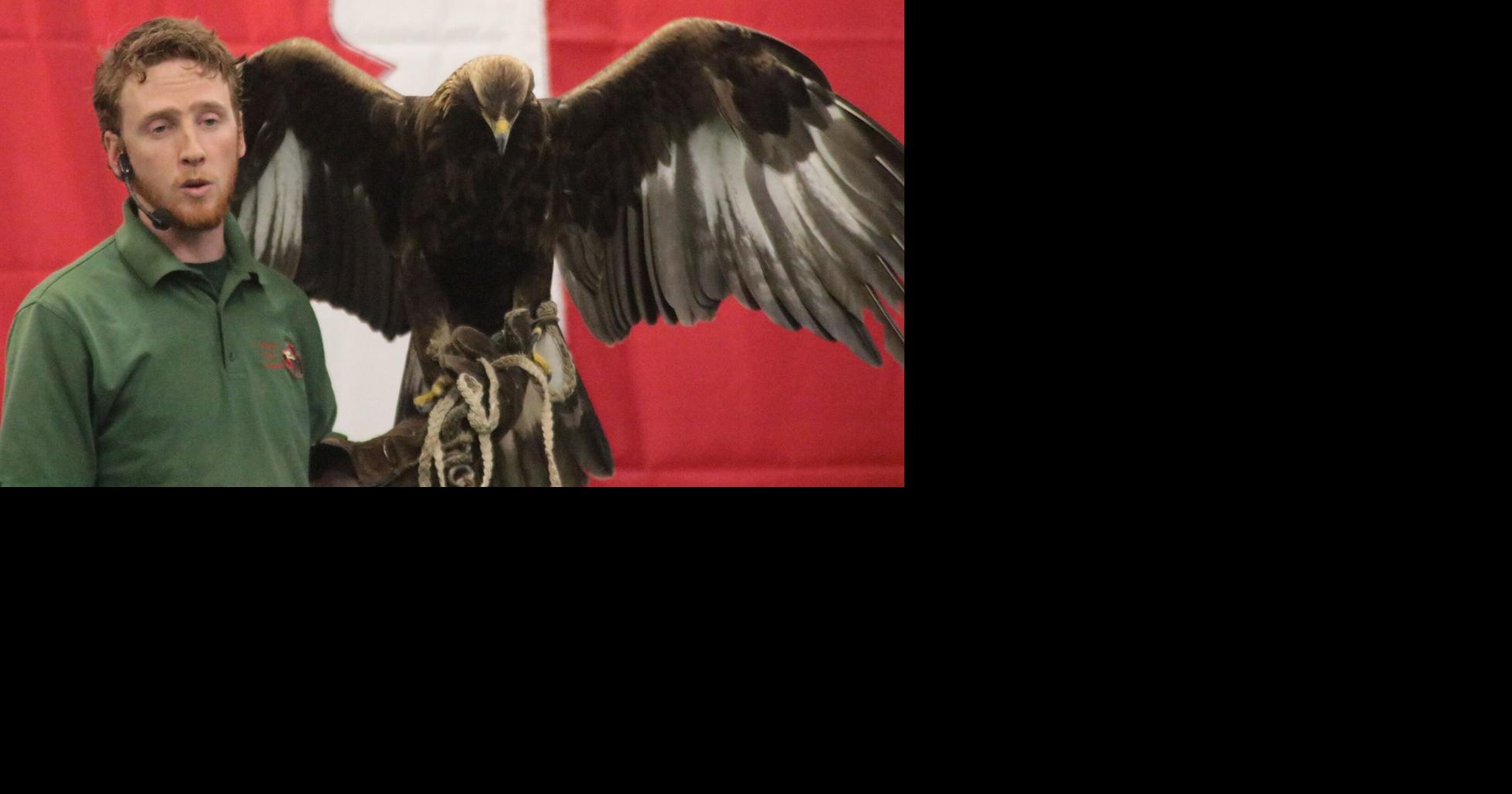 Ancaster Lifestyle Spring Home Show is back