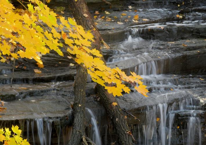Hamilton’s best views for fall colours