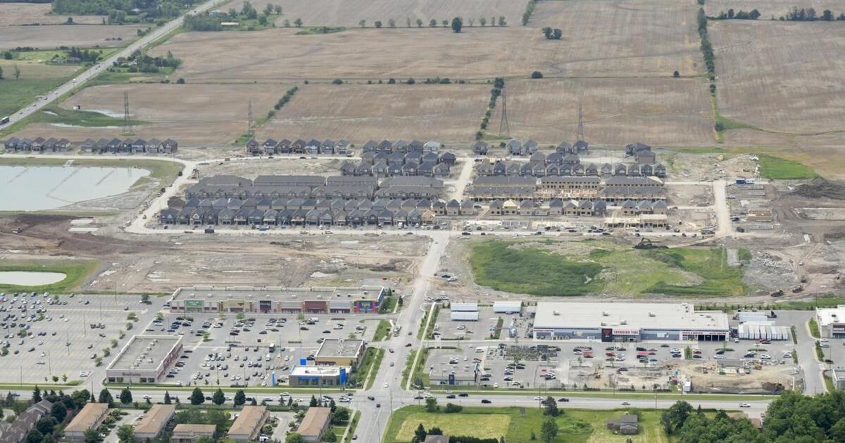 Hamilton’s new council must rescind urban boundary plan
