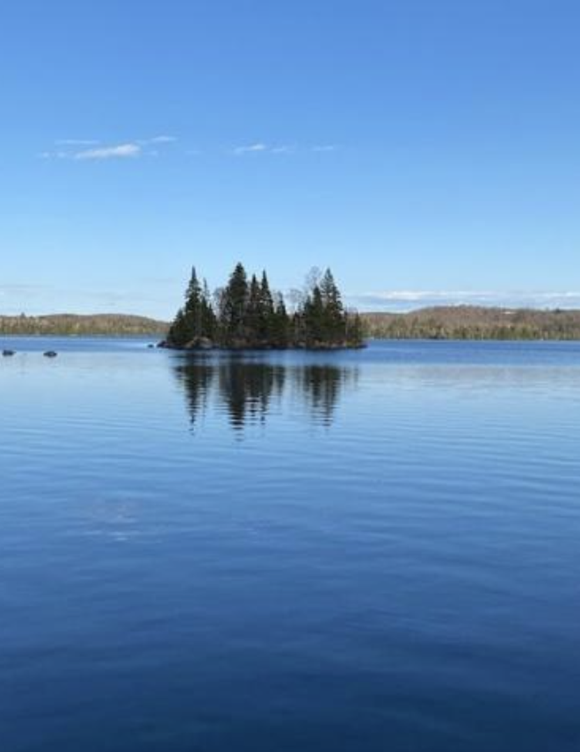 Bray Lake Association moves to modernize water testing following Machar ...