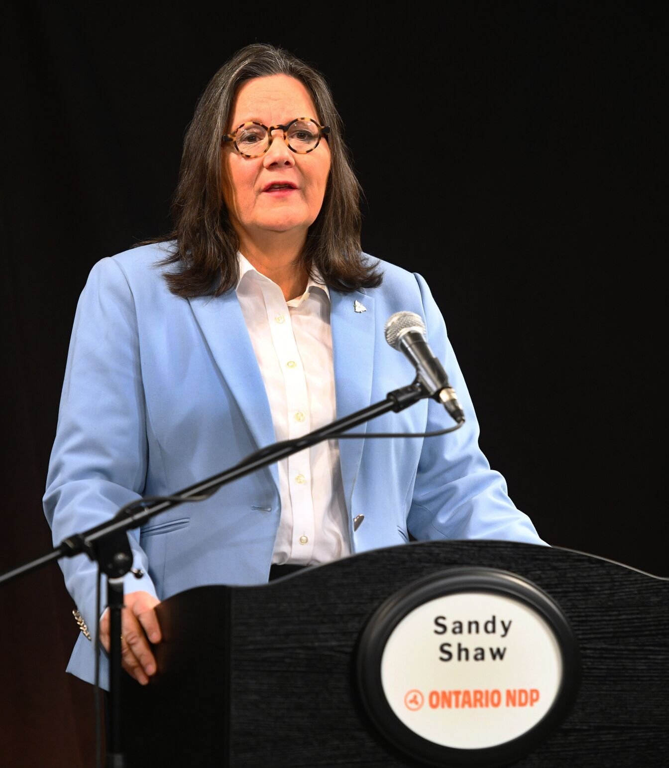 What happened at the Hamilton West—Ancaster—Dundas debate