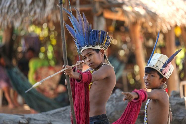 A conflict over cattle in Brazil's Amazon highlights tensions for ...