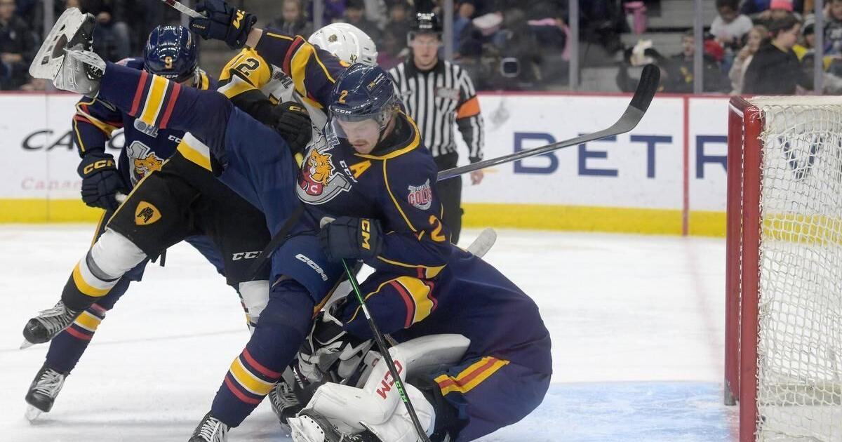 Bulldogs shredded in OHL playoff opener