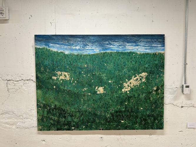 Hamilton art exhibit highlights ecological devastation