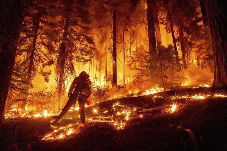 Huge California wildfire chews through timber in very hot and dry weather