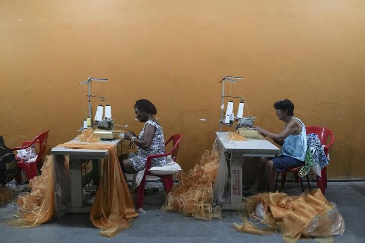 These Brazilian caramel-colored stray dogs were long overlooked. Now ...