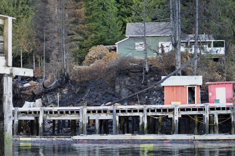 Northern lights inspire recovery in Telegraph Cove, B.C., year after ...