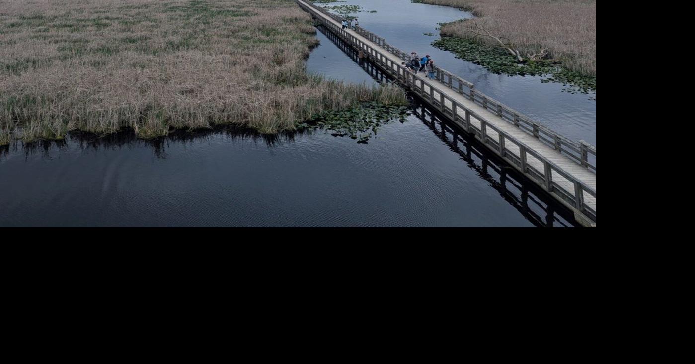 Canada Strong Pass gives Sarnia families free and discounted access to ...